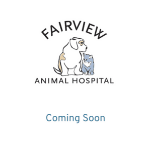 Maryville, TN 37801 Veterinarians | Fairview Animal Hospital