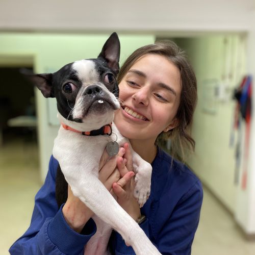 Maryville, TN 37801 Veterinarians | Fairview Animal Hospital